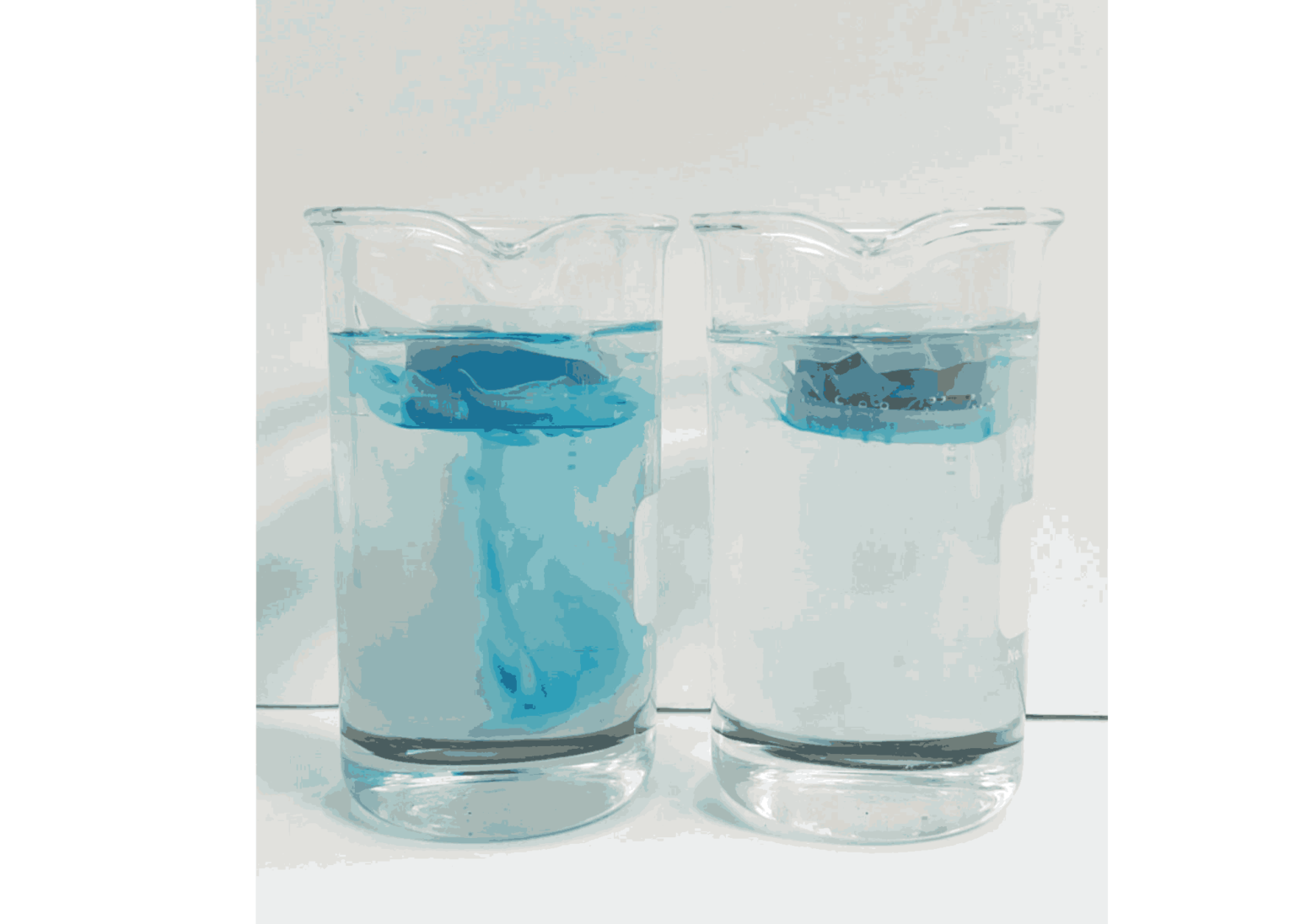 VITRO-SKIN® Model Substrate For EX-Vivo Test | Synthetic Skin Model